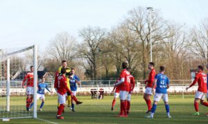 Dorp Elim | Een Oase in Drenthe